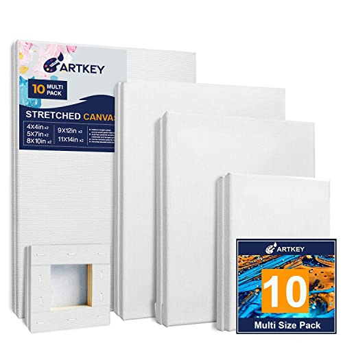 Amazon Best Sellers: Best Pre-Stretched Canvas