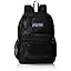 Amazon.com | JanSport Eco Mesh Backpack, Red Tape, 17” x 12.5” x 6 ...