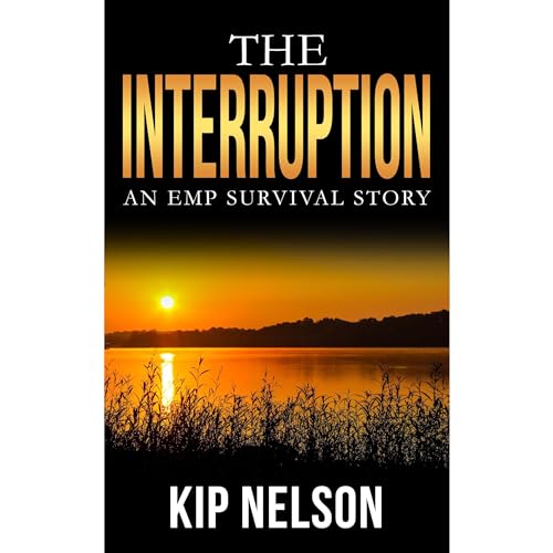 Amazon.com: The Interruption: An EMP Survival story (Audible Audio ...