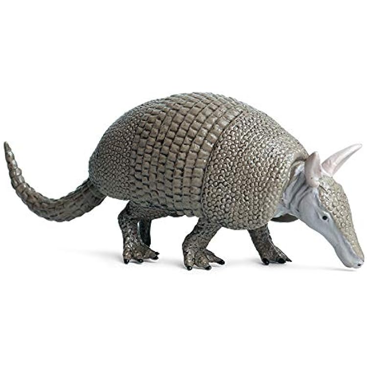 Realistic Armadillo Figurine for Collection & Education in Nepal at NPR ...