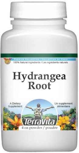 Amazon.com: Hydrangea Root Powder (4 oz, ZIN: 511844) : Grocery ...