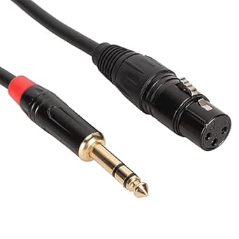 Amazon.com: XLR Female to 1/4 Inch 6.35mm Cable, 9.8ft Professional XLR ...