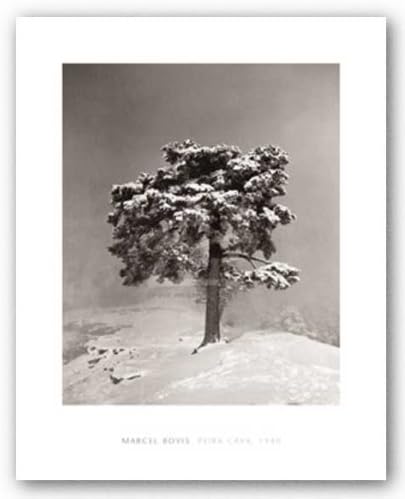 Amazon.com: Piera Cava, 1940 by Marcel Bovis 14.75"x12" Art Print ...