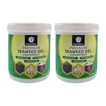 OrganicDews Seaweed Gel Based Bio Stimulant Concentrate For Plants 2 Kg ...