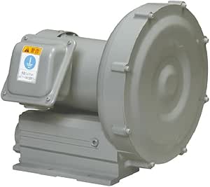 Amazon.co.jp: FOLIVORA-日立 ブロワ VBL-020-E4-200V 三相200V ボルテックスブロワ Eシリーズ 送風機 ファン 低騒音形 風量タイプ : パソコン・周辺機器