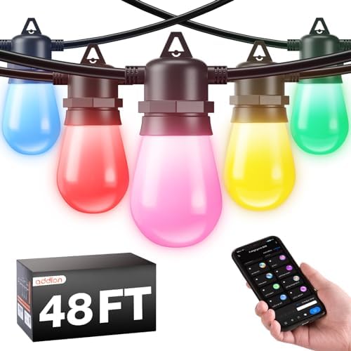 Enbrighten Seasons LED Warm & Color Changing Café Lights with Wi-Fi ...
