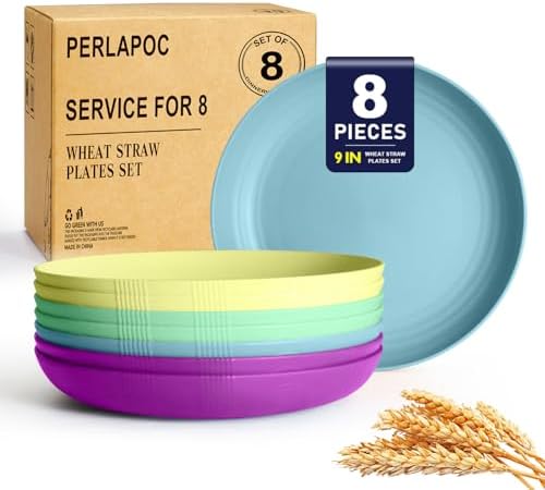 Amazon.com | SwellishColor Deeper Dinner Plates Set of 4,8.3 Inch ...