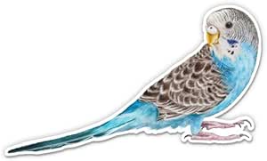 Amazon.com - Parakeet Sticker - 5" Laptop Sticker - Waterproof Vinyl ...