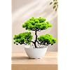 Buy PLANTWALLA Artificial Bonsai Tree with White Pot, Green, Plastic ...