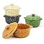 Amazon.com: Ceramic Mini Cocotte Set of 4 for Oven,10 Oz Small ...