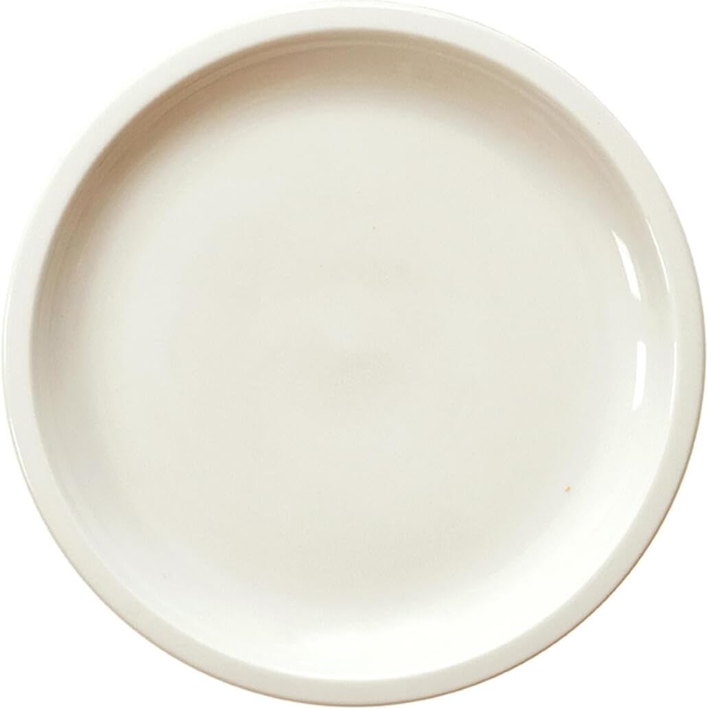 Amazon.com | Jars France Cantine Dinner Plate Xl Craie (White) 10.4 ...