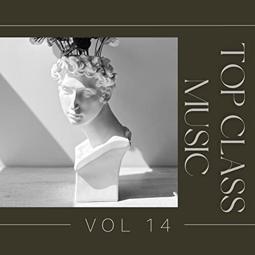 Amazon MusicでVARIOUS ARTISTSのTop Class Music Vol 14を再生する