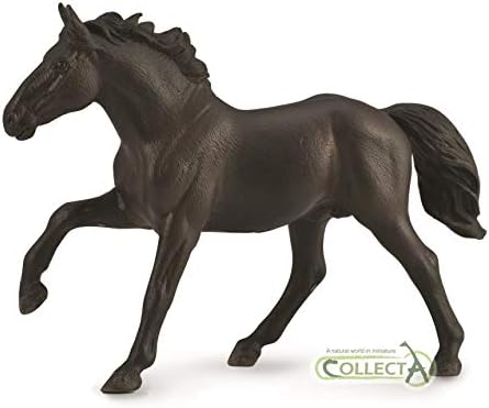 Collecta Chevaux (1:20 XL): ÉTALON Nonius 17.5x11.5cm : Amazon.fr ...