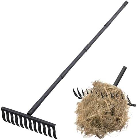 Amazon.com : Thatch Rakes for Lawns, Heavy Duty Metal Garden Rake with ...