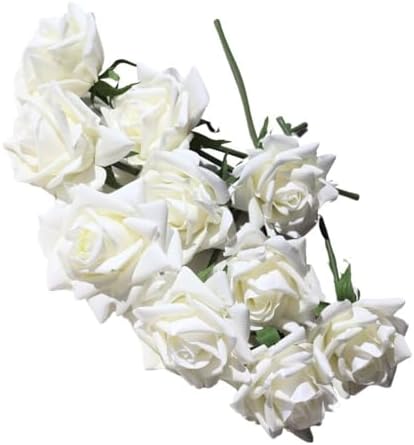 Katty Ferretti's Amazon Page