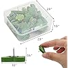 Amazon.com: Push Pins 30Pcs Cactus Decorative Push Pins Wood Pins for ...