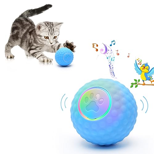 Top 10 Best Motion Activated Cat Toy : Reviews & Buying Guide - Katynel