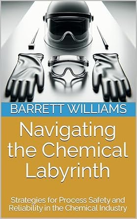 Amazon | Navigating the Chemical Labyrinth: Strategies for Process ...