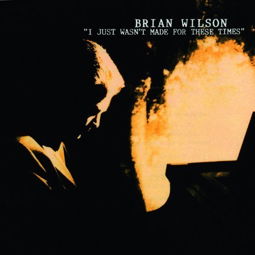 Amazon.com: I Just Wasn't Made For These Times (180 Gram Audiophile ...
