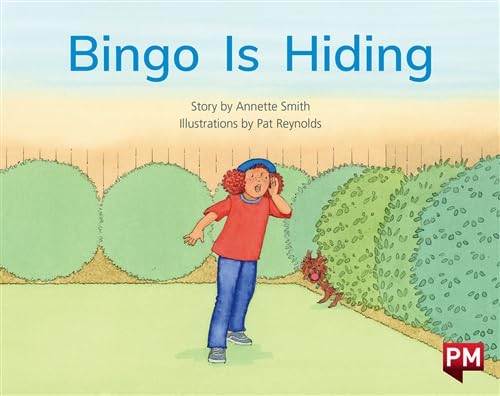 Bingo is Hiding: Annette Smith, Ana Sofia Ribeiro: 9780170329682 ...