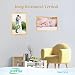 Amazon.com - 20x30 Frame Gold, Modern 30x20 Picture Poster Frame ...