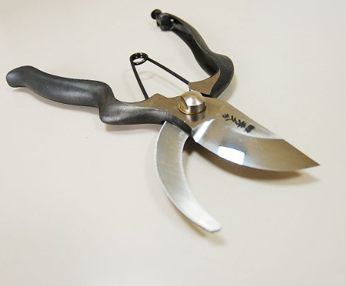 5 Best Japanese Pruners Available Online - YouGoJapan