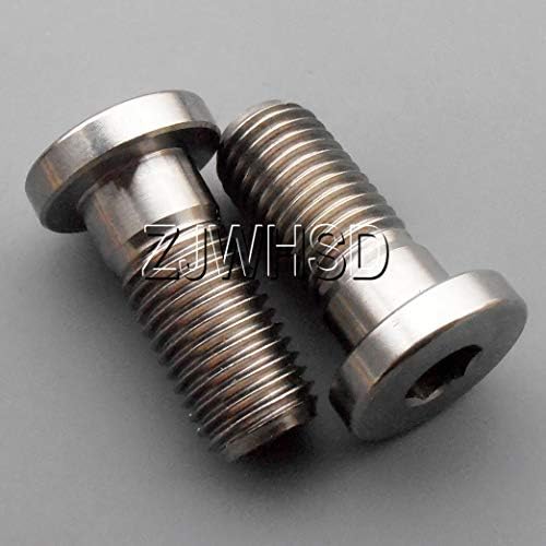 Amazon.com: 2pcs M10 x 1.25 x 23mm Disc Brake Rotor Titanium Ti Bolt ...