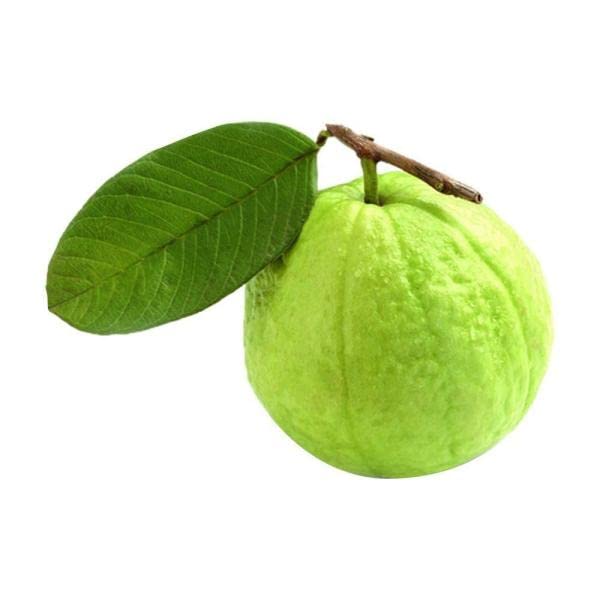 GREEN VOLCANO 1 Kg Guava/Kilo Guava"Clone Type Hybrid Guava - 1 Healthy ...
