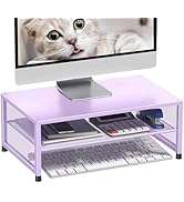 Amazon.com: ECOLOVI Computer Monitor Stand Riser, Desk Organizers and ...