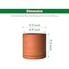 Amazon.com : D'vine Dev Small Plus 5 Inch Terracotta Plant Pot with ...