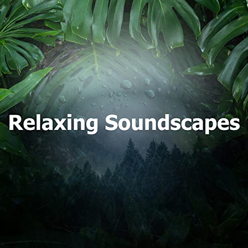 Amazon Music - Relaxing Sleep SoundのRelaxing Soundscapes - Amazon.co.jp