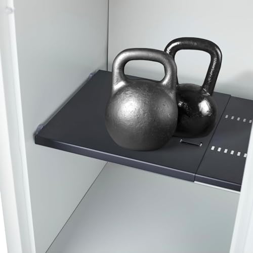 Best Locker Shelves: Organize Your Space with These Top Picks ...