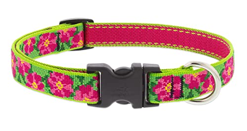 Lupine Dog Collars – The 15 best products compared - Wild Explained