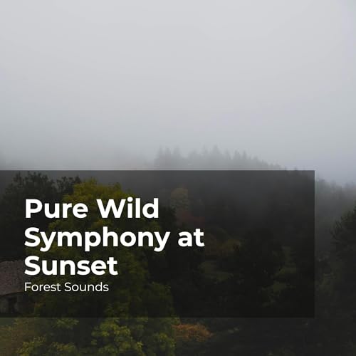 Amazon MusicでForest Sounds, Ambient Forest & Rainforest SoundsのPure ...