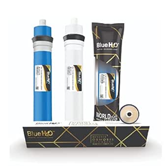 Blue H2O Blue Life RO+Alkaline Domestic RO Water Purifier (Pack of 1 ...