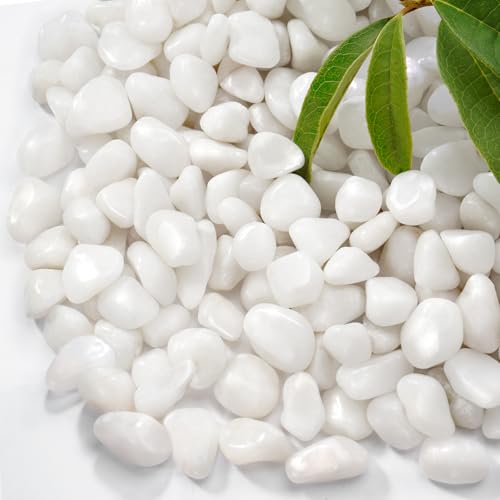 Best White Spar Decorative Stone Bulk Bag Options for Homes and Gardens ...