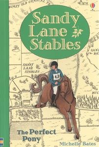 Sandy Lane Stall: The perfect pony (revised): Amazon.co.uk ...
