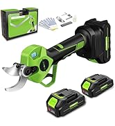 Amazon.com: V-MODEST 2-IN-1 Electric Pole Pruning Shears Cordless, 1.6 ...