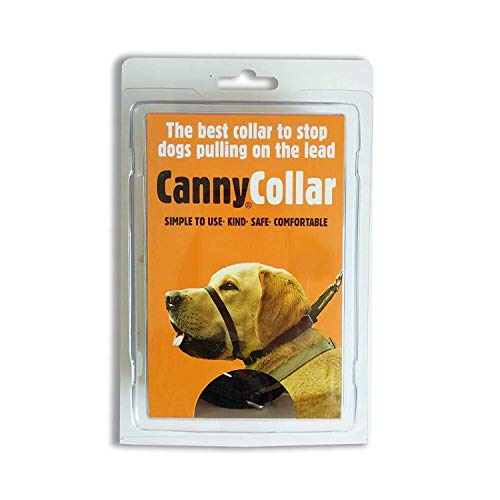 Canny Collar Halsband – Die 15 besten Produkte im Vergleich & Angebote ...