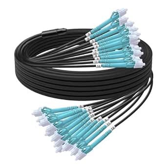 Amazon.com: 16FT/5M OM3 12 Core Multimode LC to LC Outdoor Armored ...