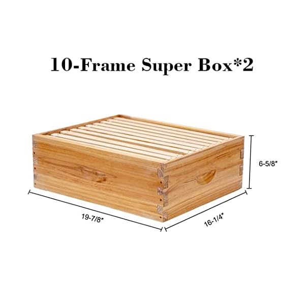 BeeCastle 10 Frame Langstroth Bee Hive Coated with 100% Beeswax ...