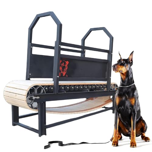 Cinta De Correr Para Perros Worten ️ 2024