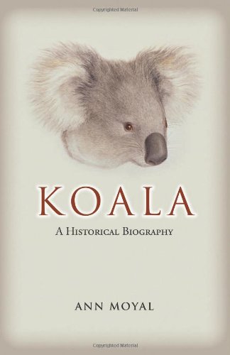 Koala: A Historical Biography: Moyal, Ann: 9780643094017: Amazon.com: Books