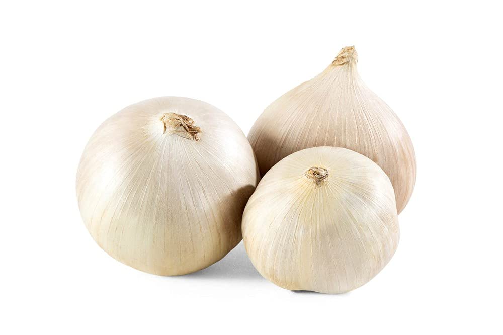Amazon.com: Elephant Garlic Rounds (Ajo Macho) Great for Fall Planting ...