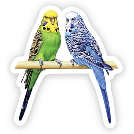 Amazon.com - Rubber Duck - 3" Vinyl Sticker - for Car Laptop I-Pad ...