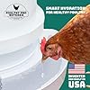 Amazon.com : The Original Poultry Pro Waterer | DIY Chicken Waterer for ...
