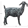 Amazon.com: Creative Co-Op Resin Standing Goat Accent Décor with Cast ...