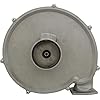 Amazon.com : Pentair Blower Kit, MasterTemp 400/Max-E-Therm 400, NAT ...