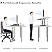 BONTEC Standing 32inch/800mm Desk Converter, Height Adjustable Dual ...