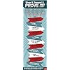 Amazon.com: Teacher's Discovery Show It, Support It, Prove It! Skinny ...